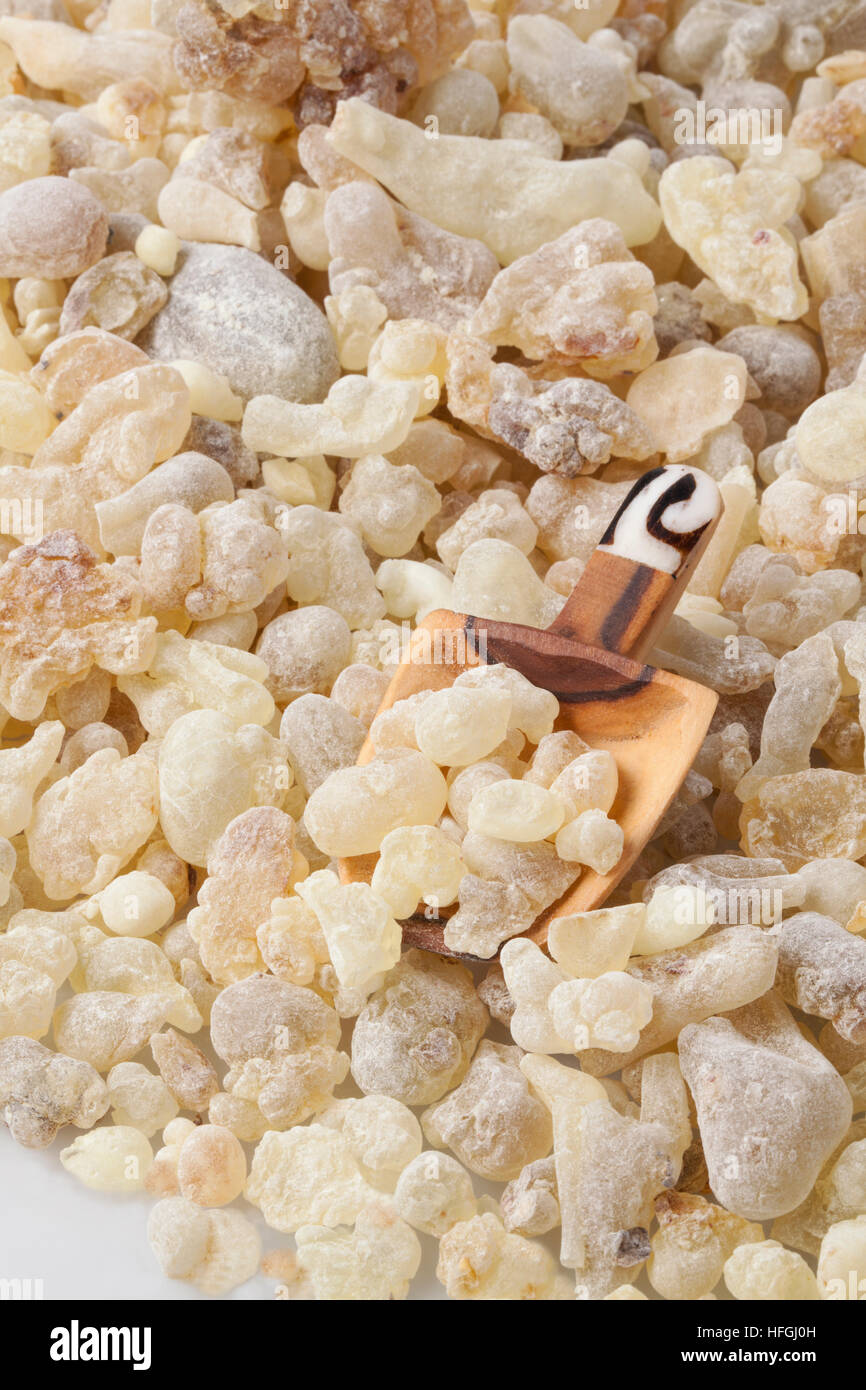 Frankincense in oman hi-res stock photography and images - Alamy