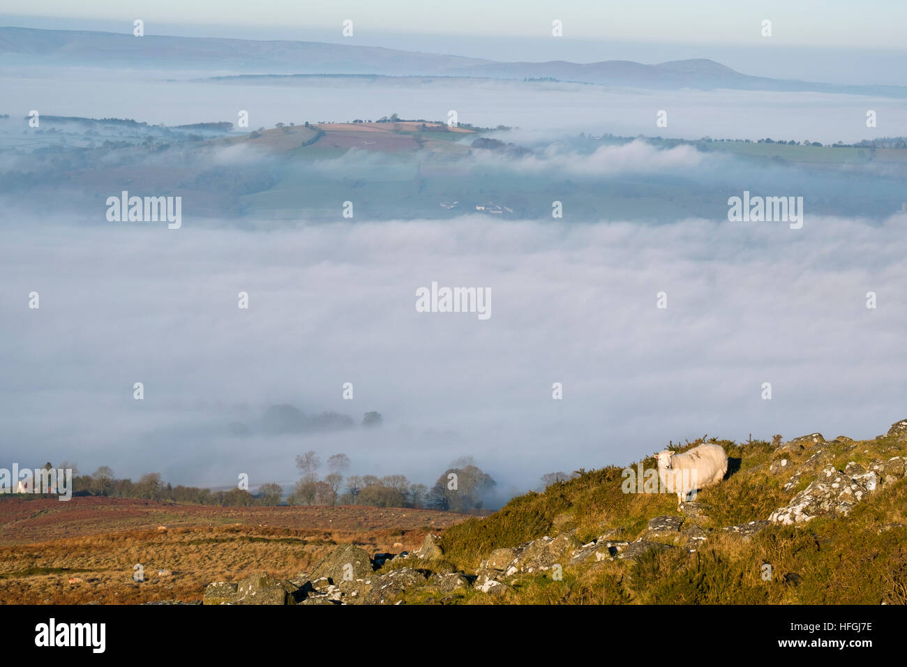 A sea of mist covers south Shropshire with the Stretton Hills in the ...