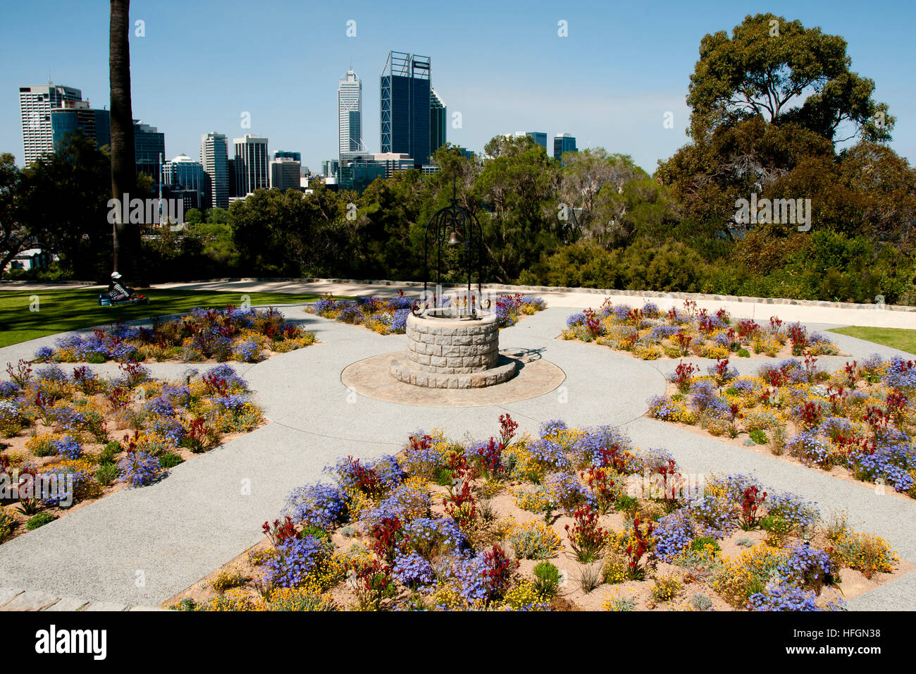 Perth king's park tree hi-res stock photography and images - Alamy