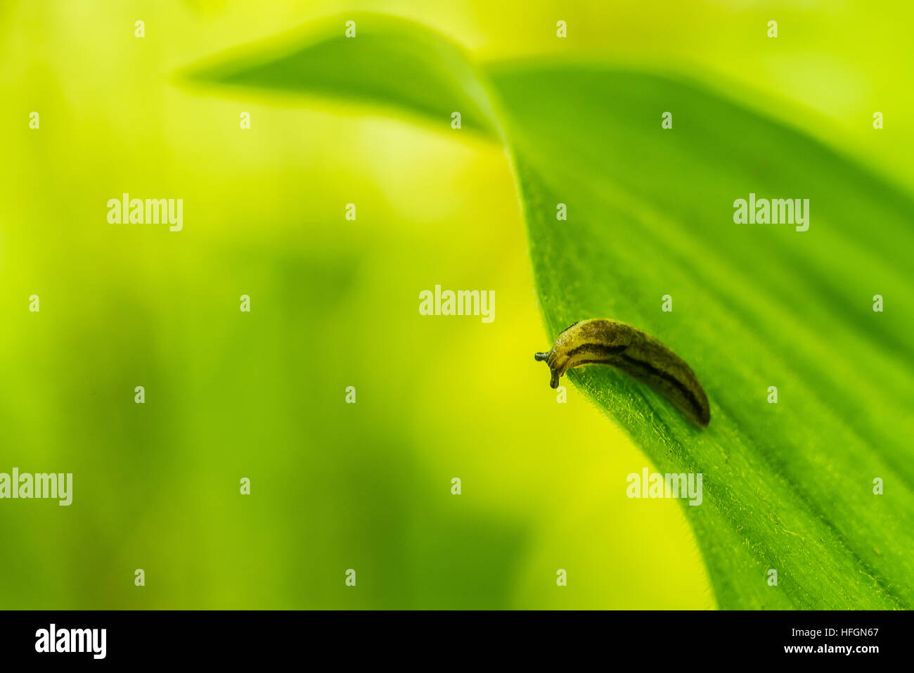 Looking Over the Edge Stock Photo - Alamy