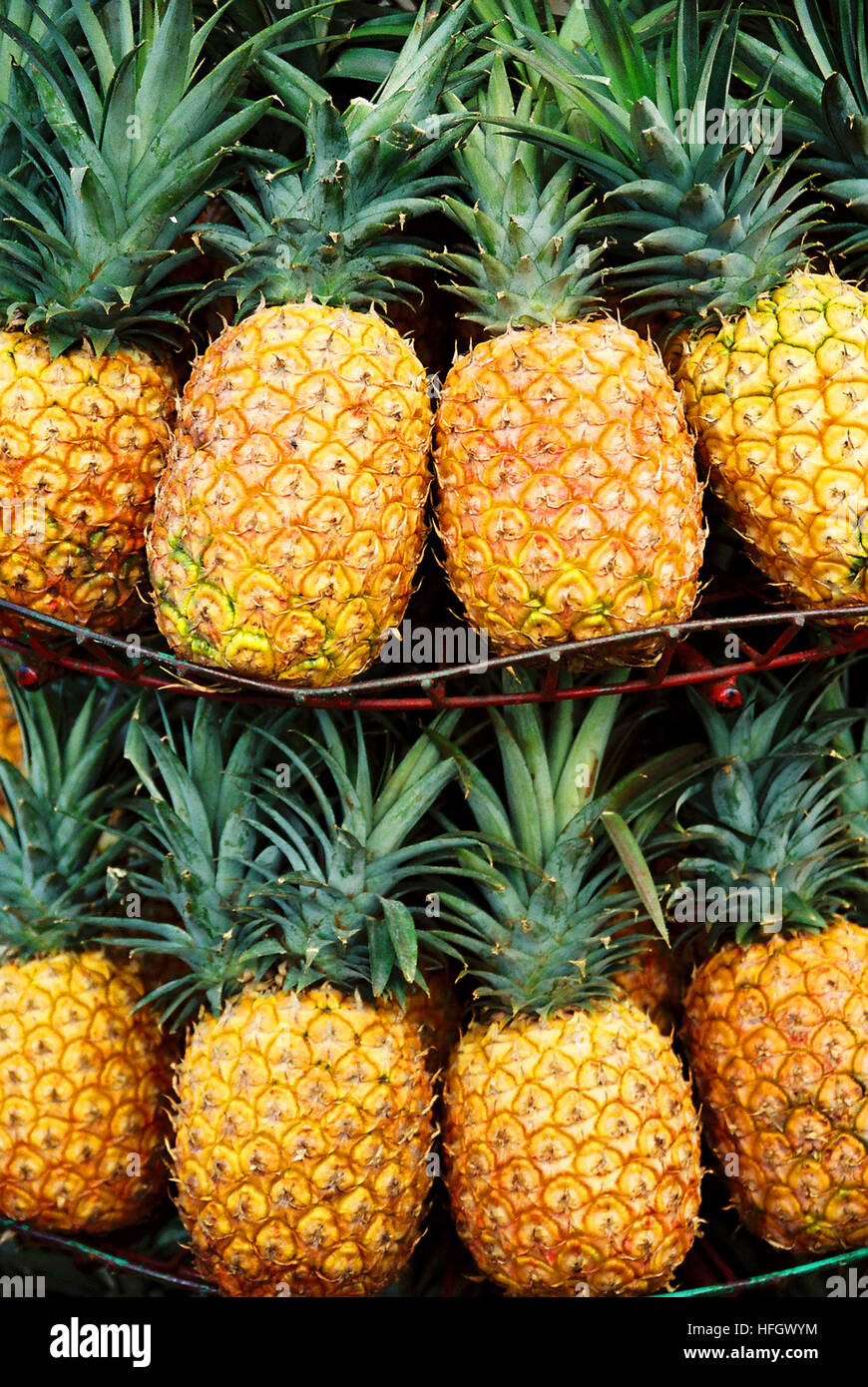 Pineapples on Display on Oahu, Hawaii Stock Photo - Alamy