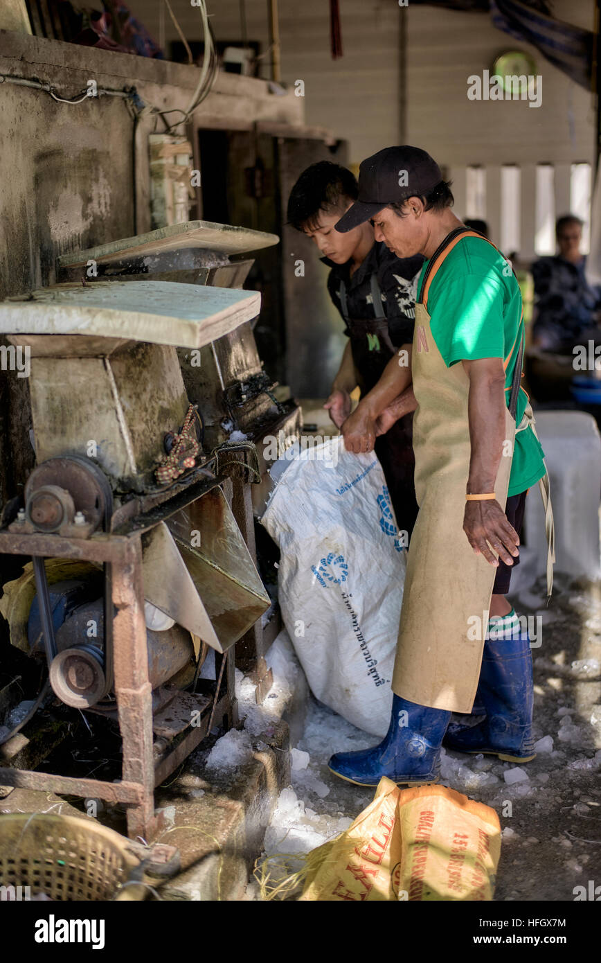 Ice preservation hi-res stock photography and images - Alamy