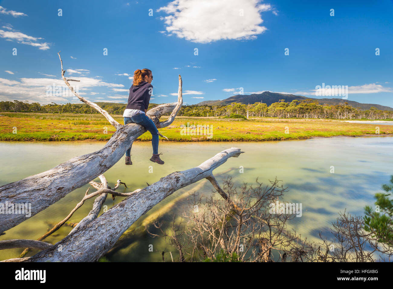 The perfect spot hi-res stock photography and images - Alamy
