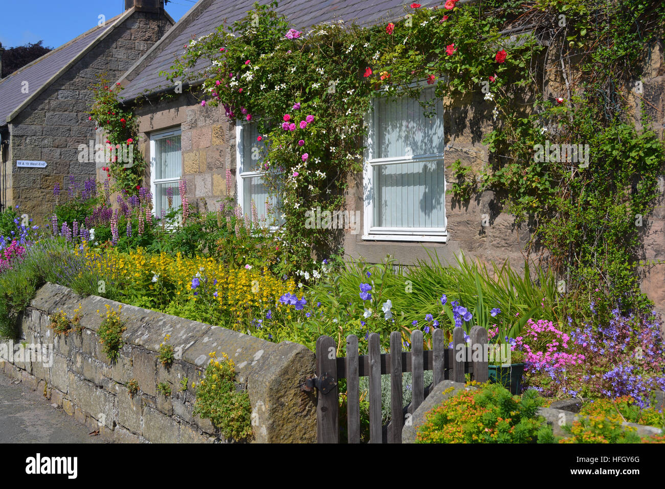 Cottage garden with flowers Stock Photo - Alamy