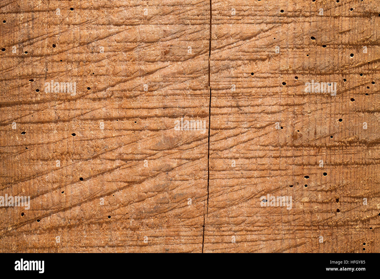 Texture old wood background, bitten by a bark beetle Stock Photo - Alamy
