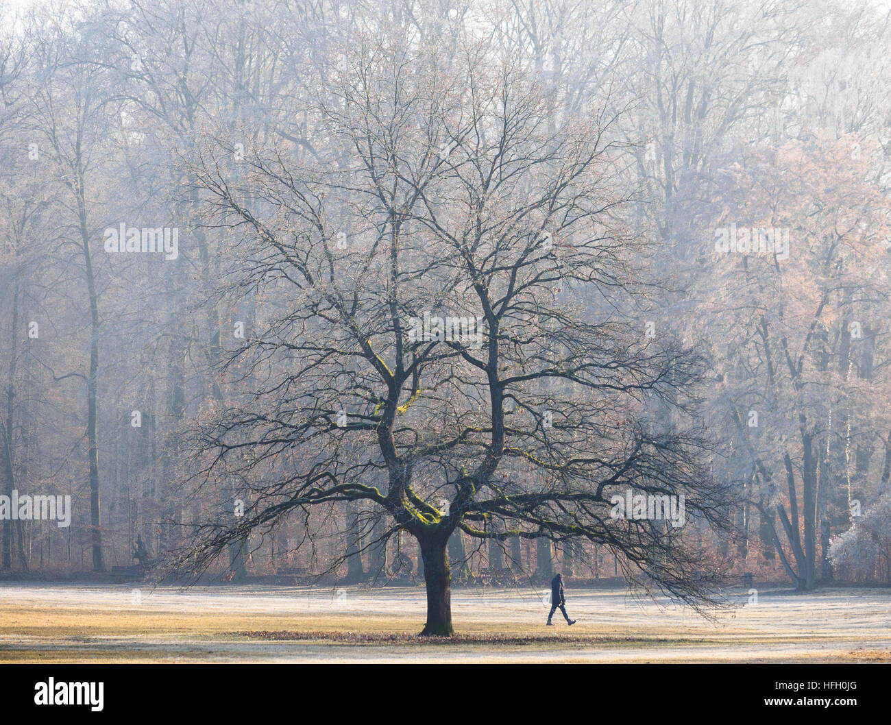 Bamberg, Germany. 30th Dec, 2016. A woman walks along a landscape ...