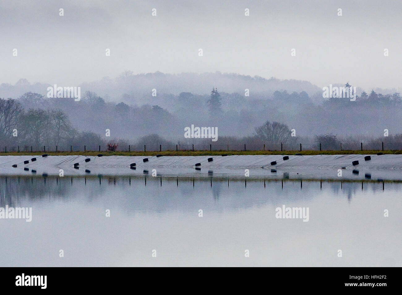 Tuesley Farm, Godalming, UK. 31st December 2016: Persistent high ...