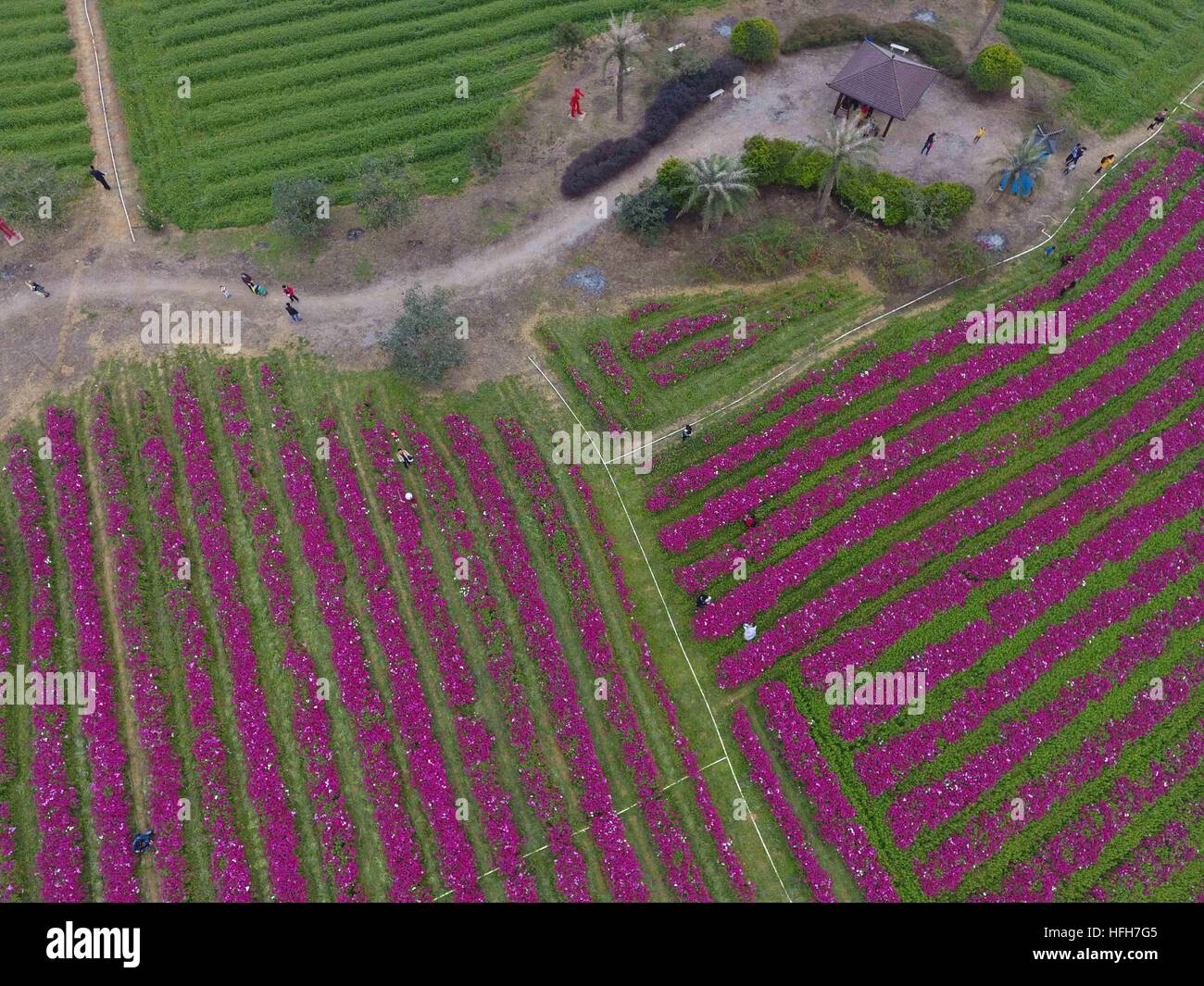Nanning, China's Guangxi Zhuang Autonomous Region. 1st Jan, 2017 ...