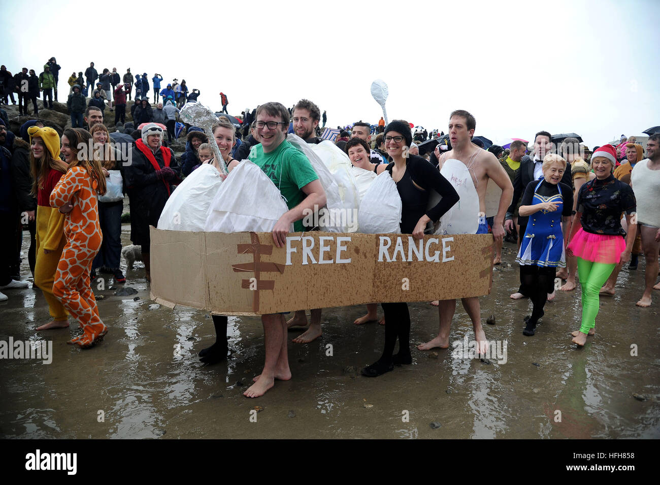 New Year's Day swim. "Lyme Lunge", "Lyme Regis", Dorset, UK Stock Photo ...