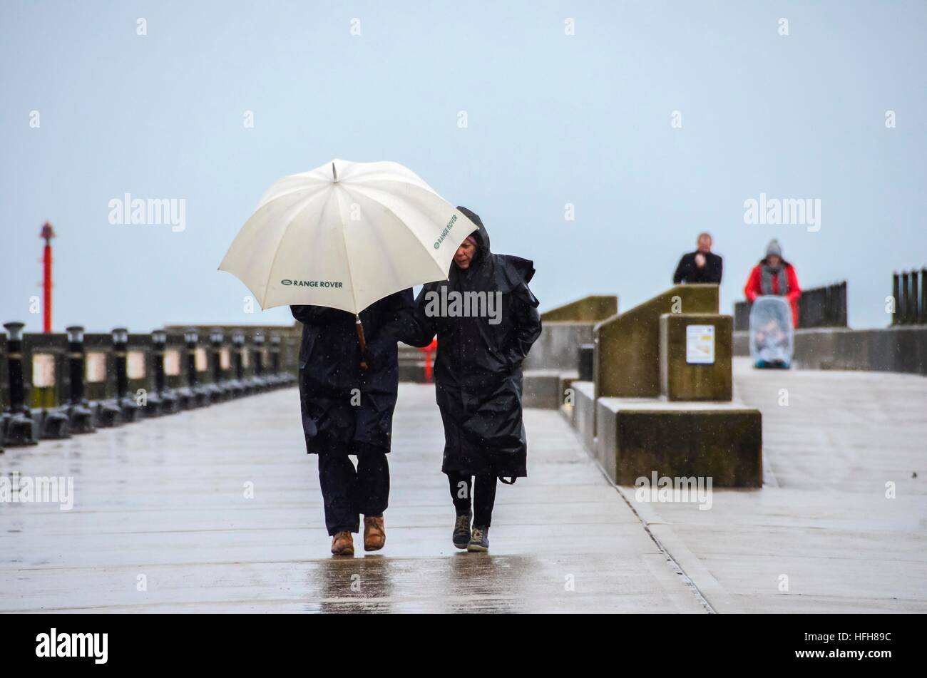 Hiding under rain coast hi-res stock photography and images - Alamy