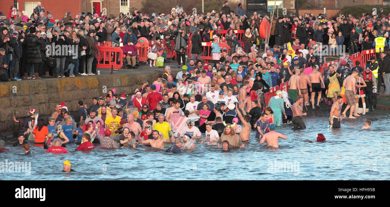 Dundee, Scotland, UK. 1st Jan, 2017. New Years Day "Dook" Broughty ...