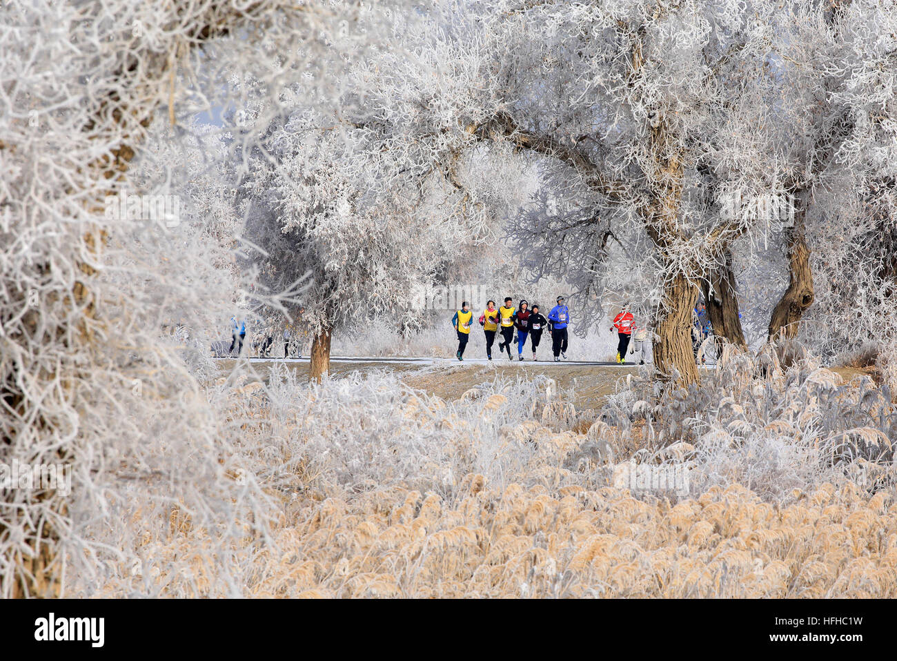 Yuli, China's Xinjiang Uygur Autonomous Region. 1st Jan, 2017. People ...