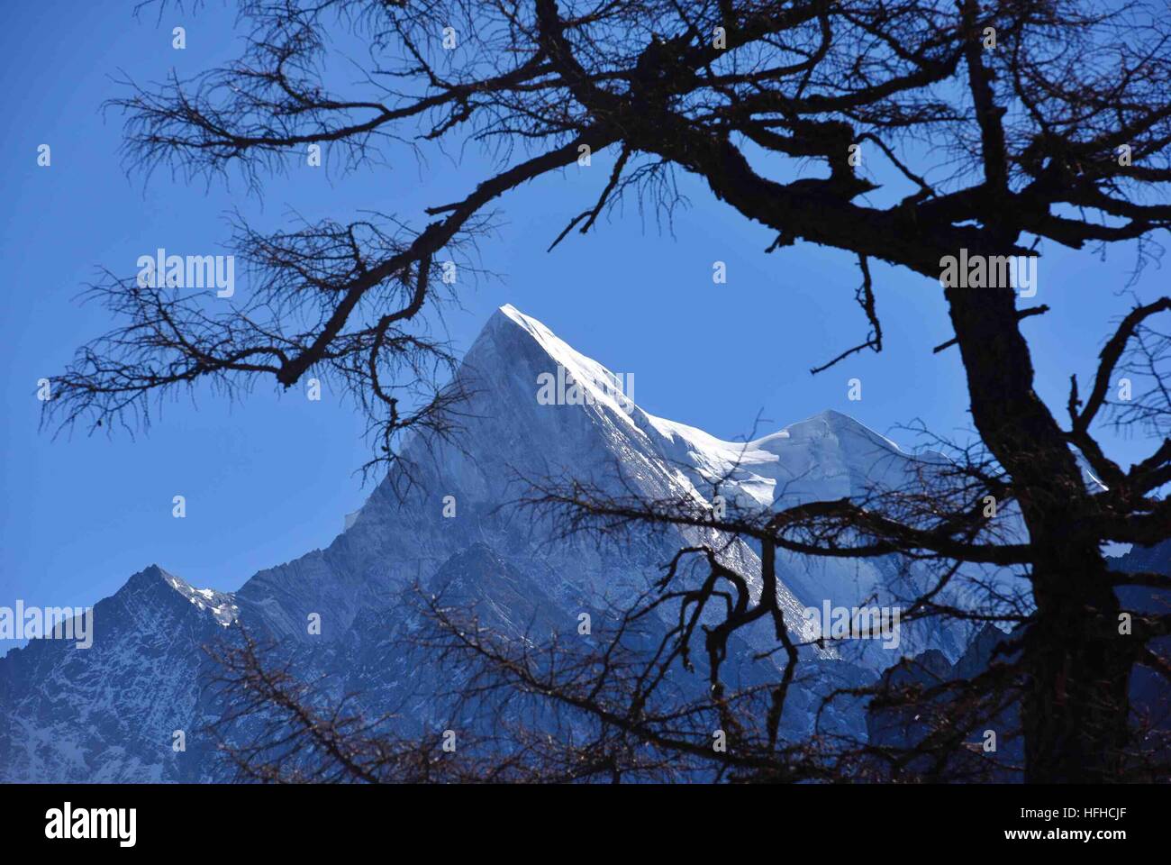 Beijing, China. 31st Dec, 2016. Photo taken on Dec. 31, 2016 shows the ...