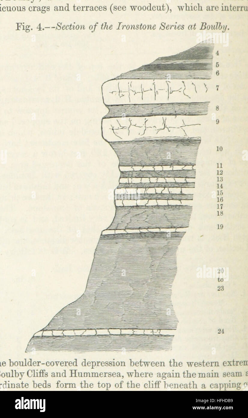 A geological study of the Yorkshire Lias, with illustrations and a map ...