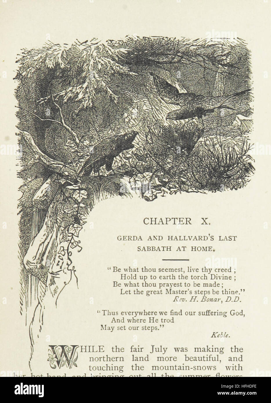 Hallvard Halvorsen; or, the Avalanche. A story of the fjeld fjord and ...