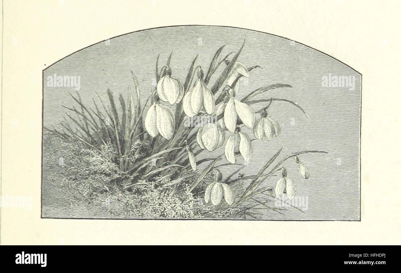 Winter Pictures by poet and artist. [Selections in verse from various ...