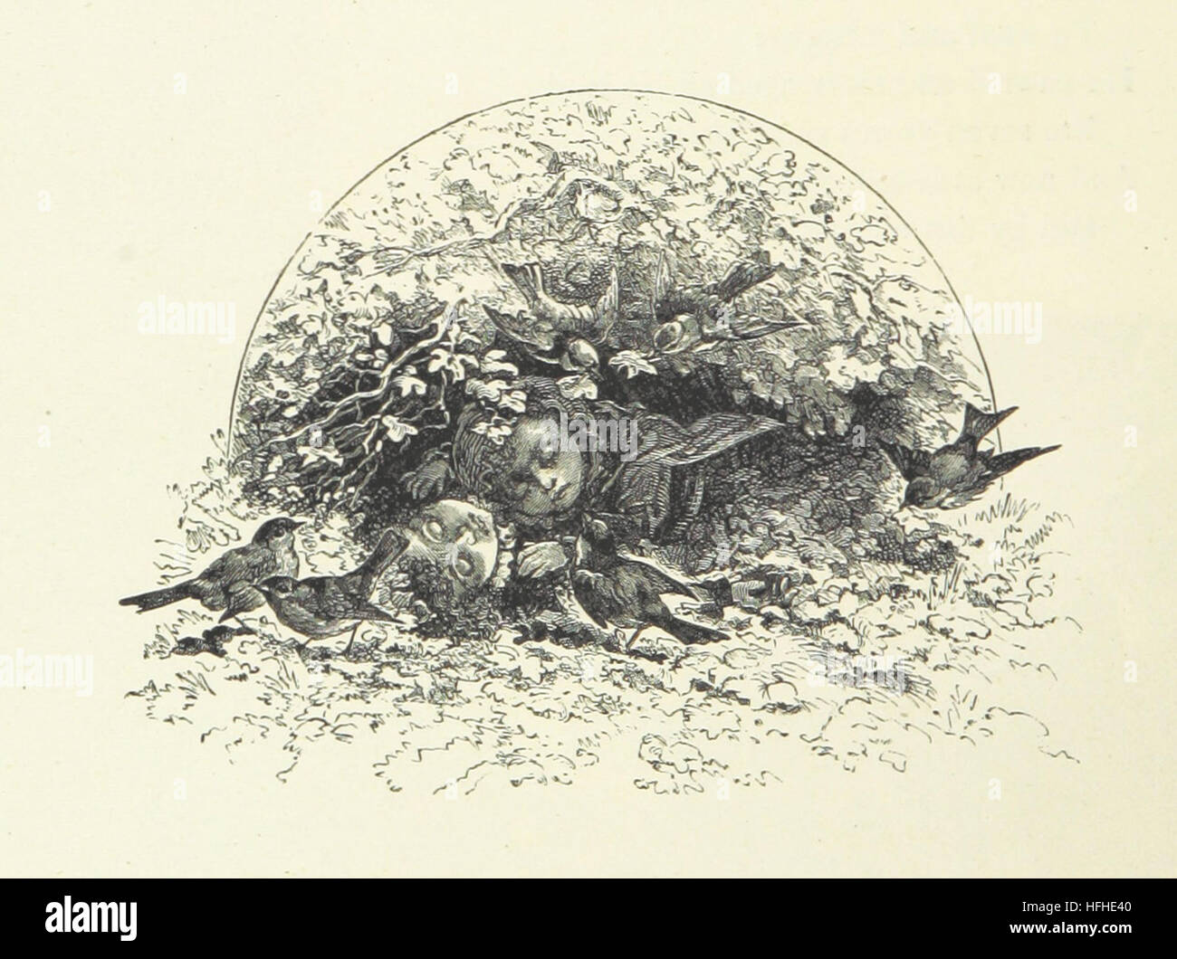 The image from 'Illustrated British Ballads' offers visual depictions ...