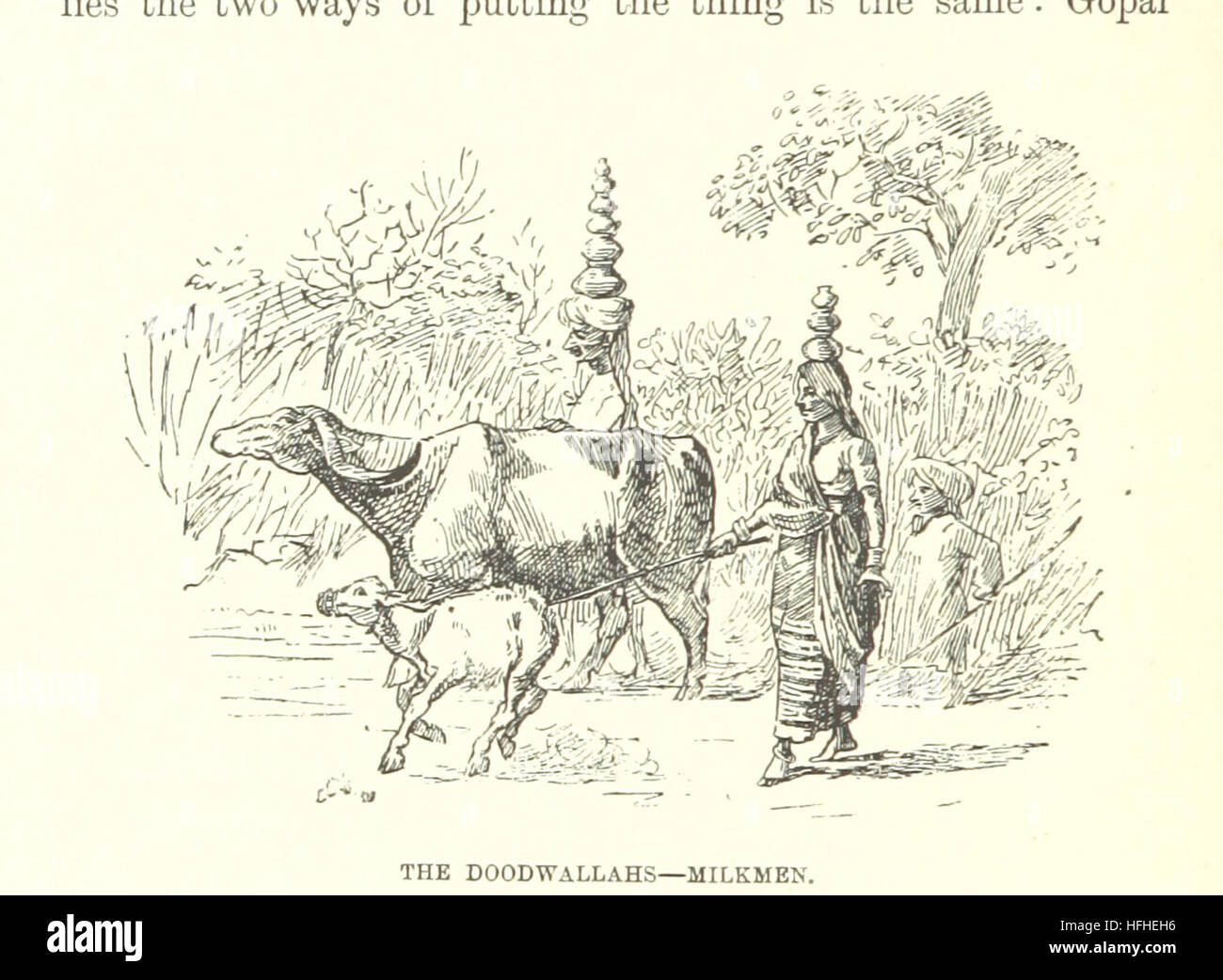 This work compiles articles from the 'Times of India' written by Eha ...