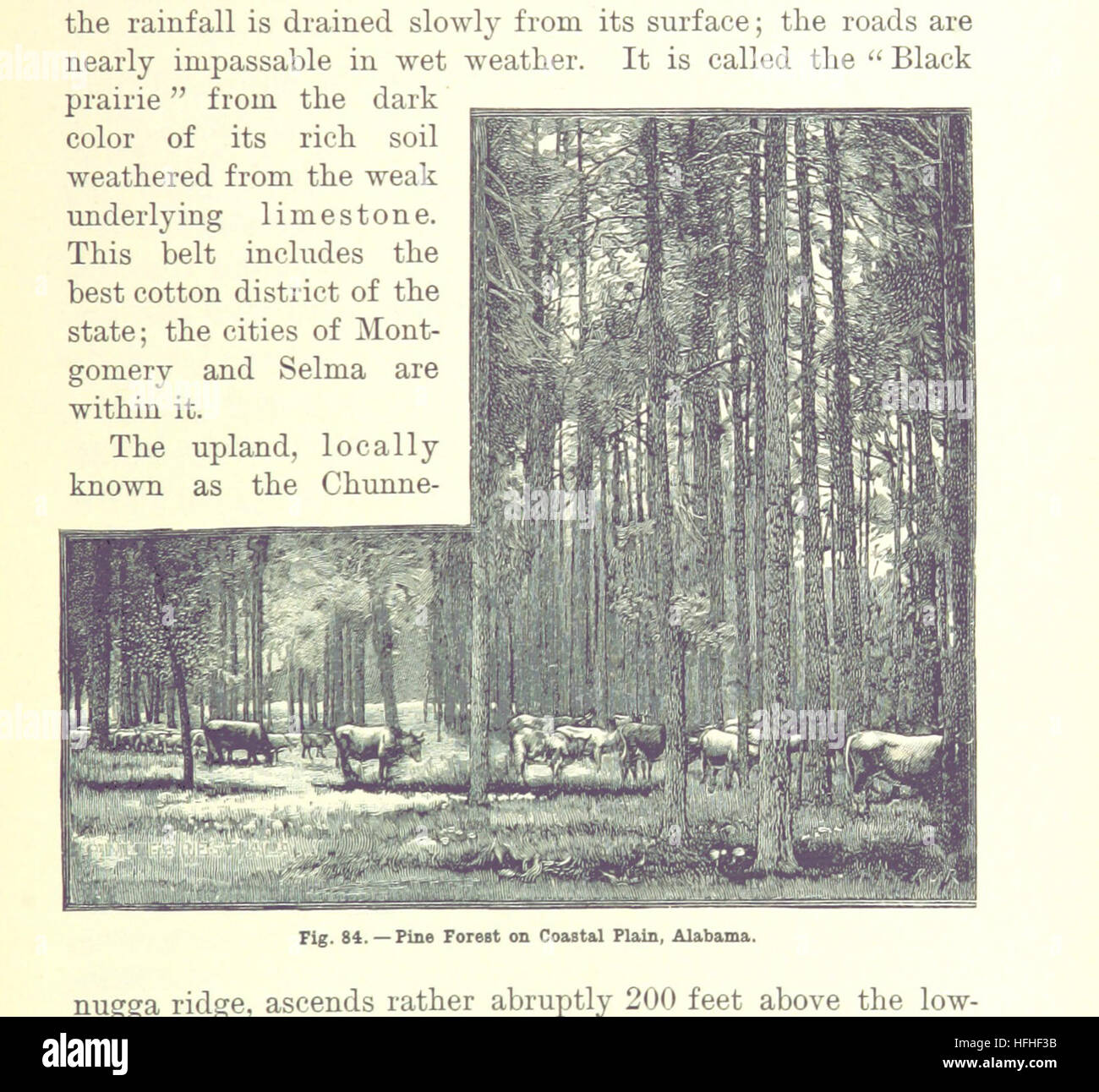 A comprehensive study of physical geography, including the landforms ...