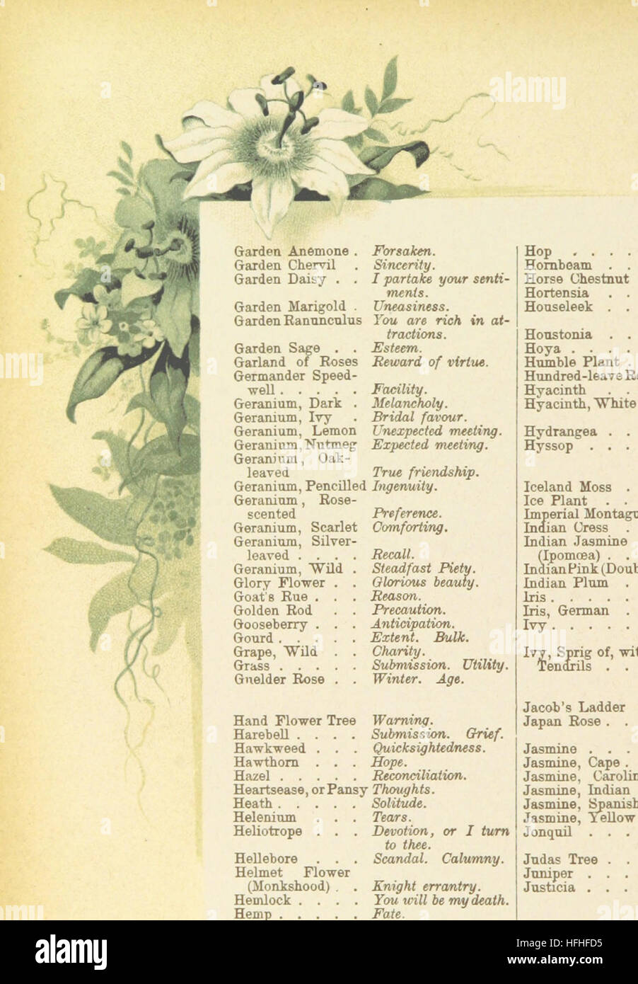 This book explores the symbolism and artistic representation of flowers ...