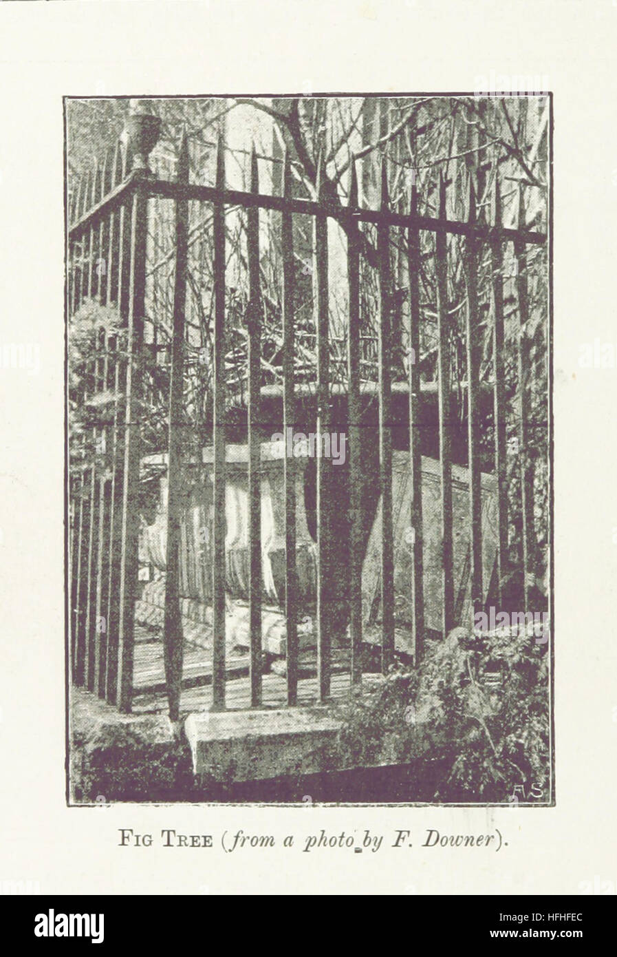 An illustration from 'Watford in 1891 Illustrated,' depicting Watford ...