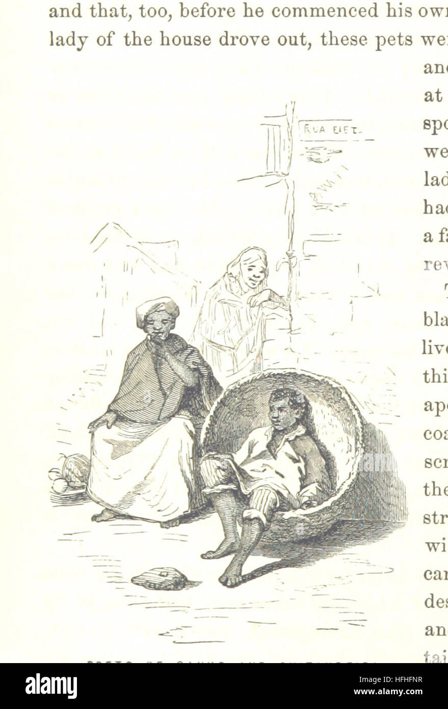 This book provides historical and descriptive sketches of Brazil and ...