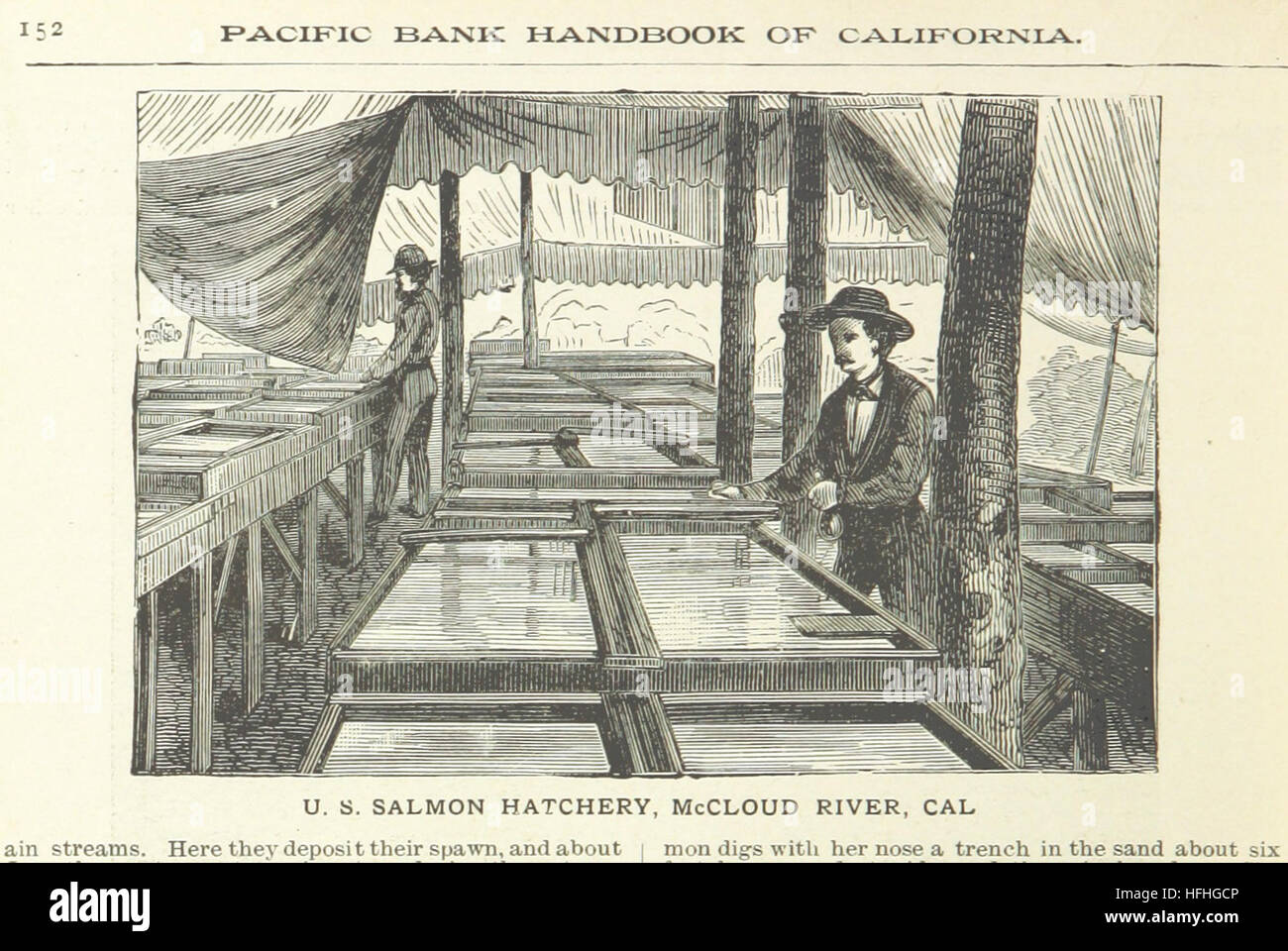 A comprehensive guidebook for California, focusing on the state's ...