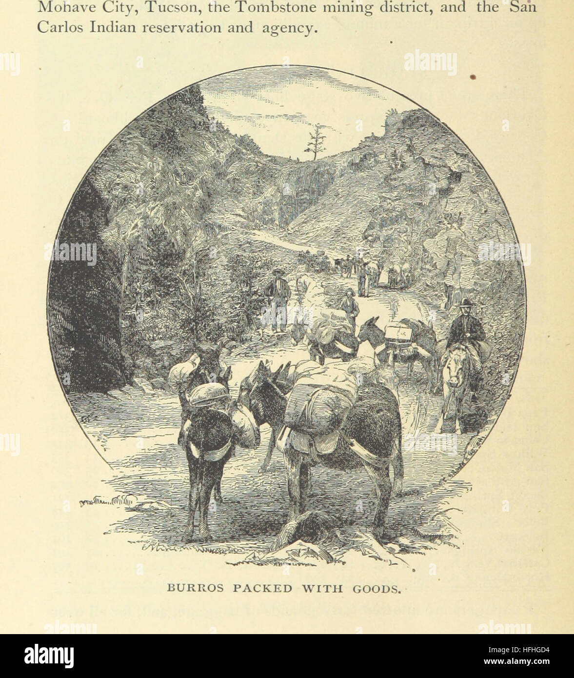 An illustration from page 104 of 'Where to go to become rich', a guide ...