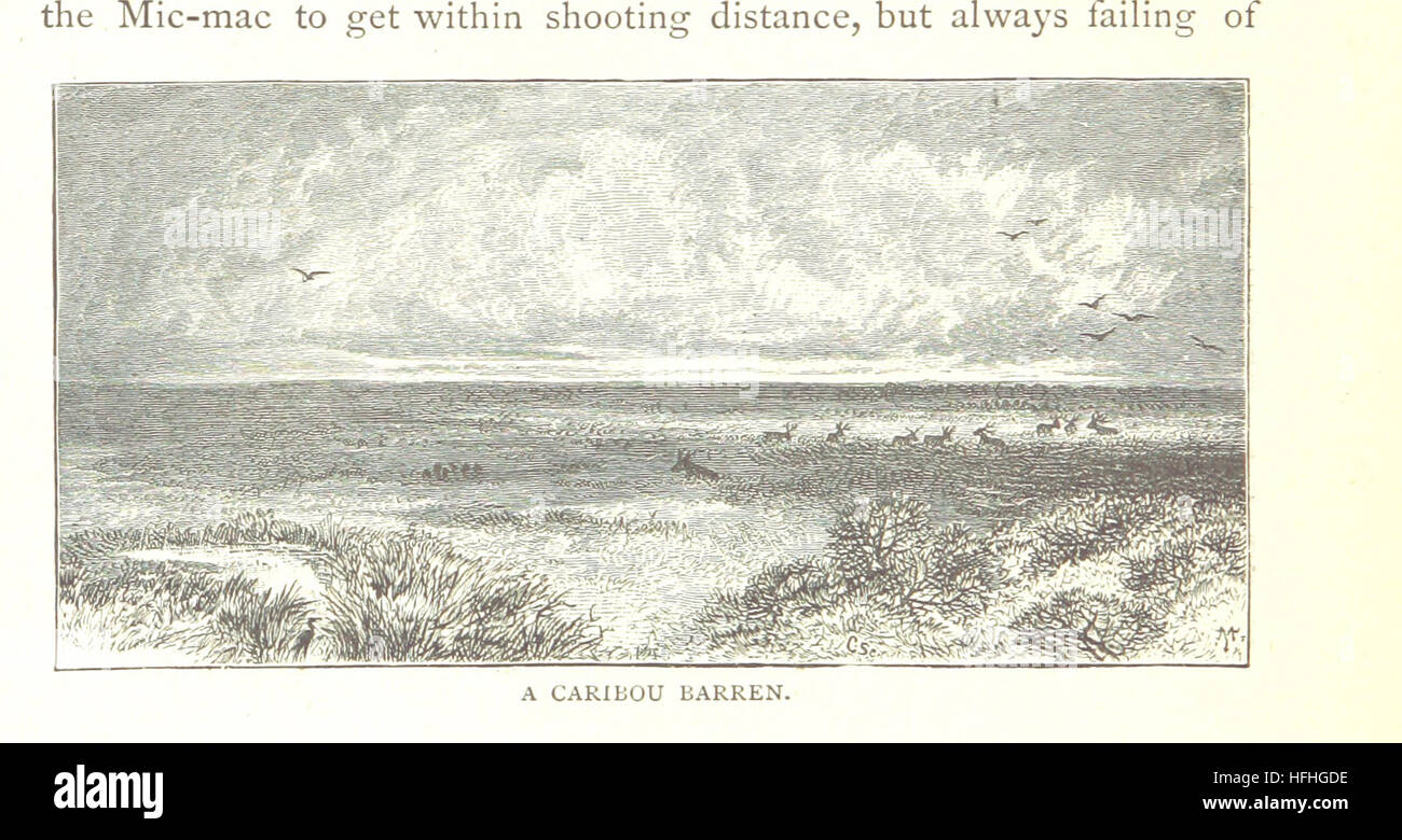 Illustration from page 162 of 'The Adventures of six young men in the ...