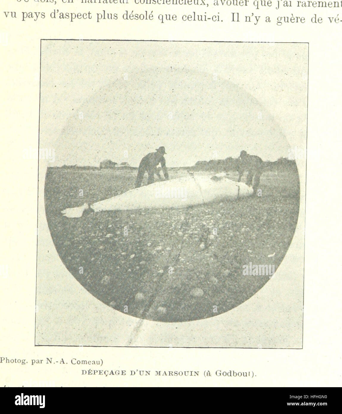 A travel journal detailing the history and topography of Labrador and ...