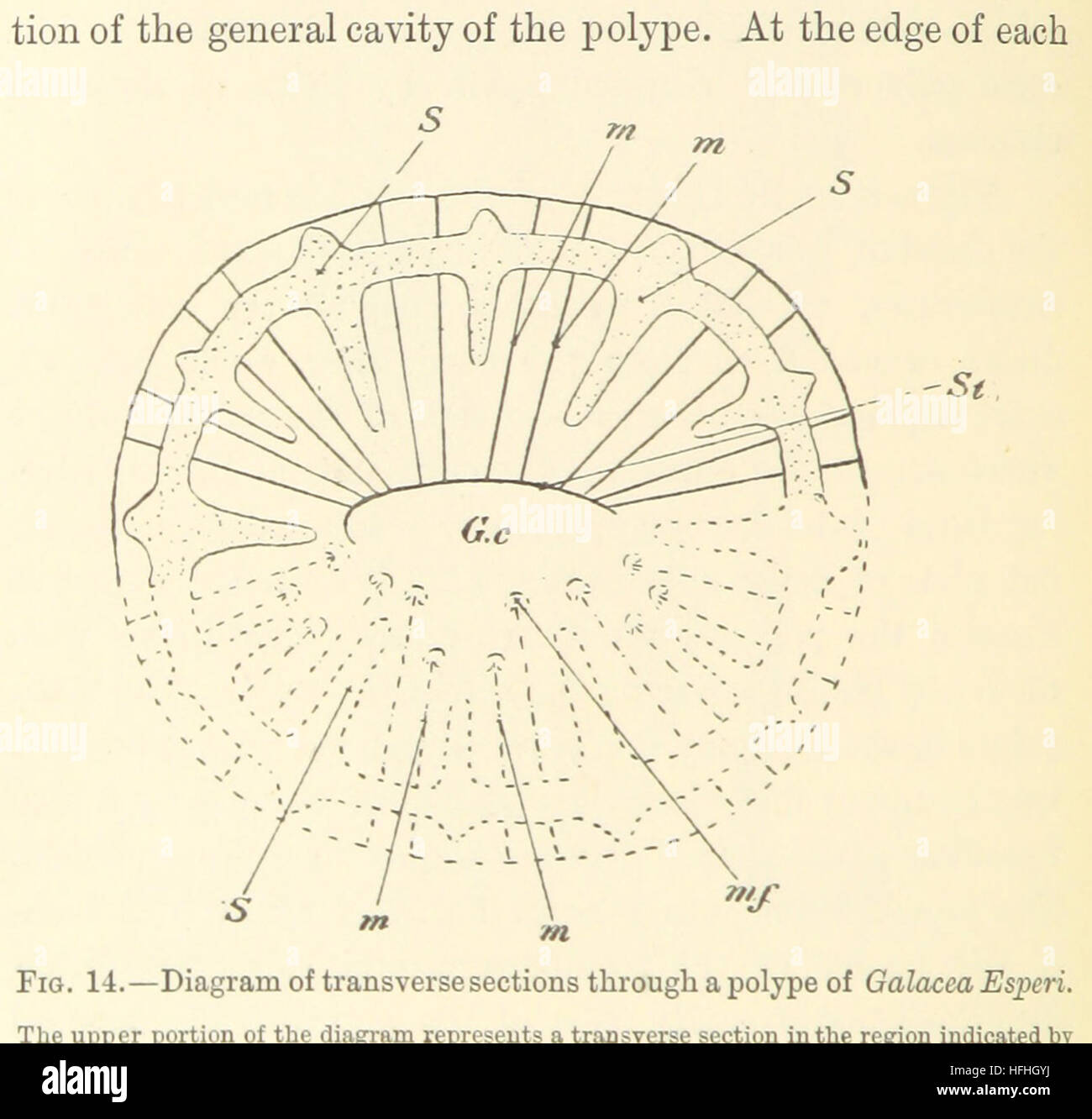 This narrative details the travels of a naturalist in the Minahassa ...