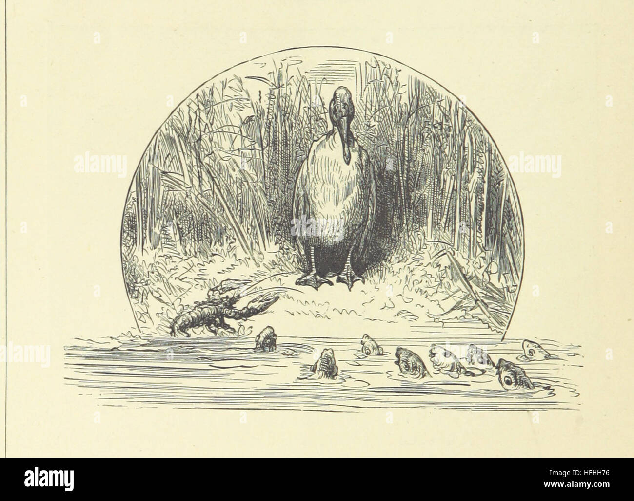 Image taken from page 164 of 'Woodland Romances; or, Fables and Fancies ...