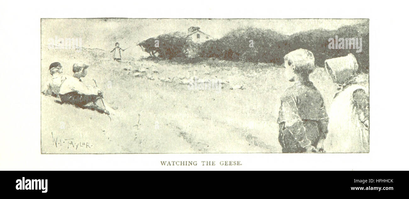 A historical account detailing the development and formation of New ...