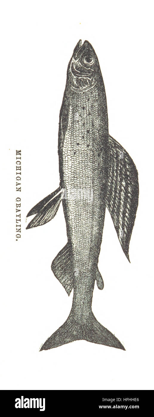 A reference book detailing Michigan’s resources, including its natural ...