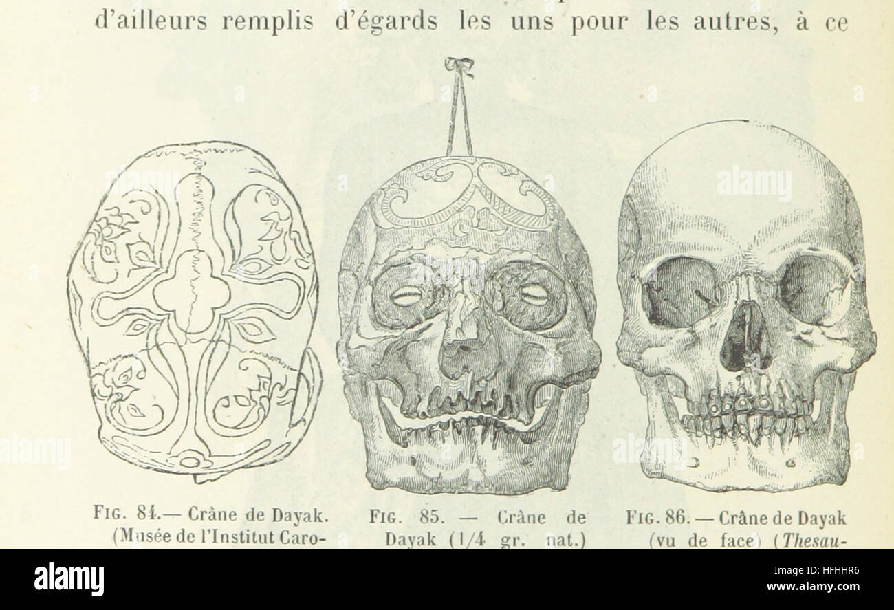 Evolution of man map hi-res stock photography and images - Alamy