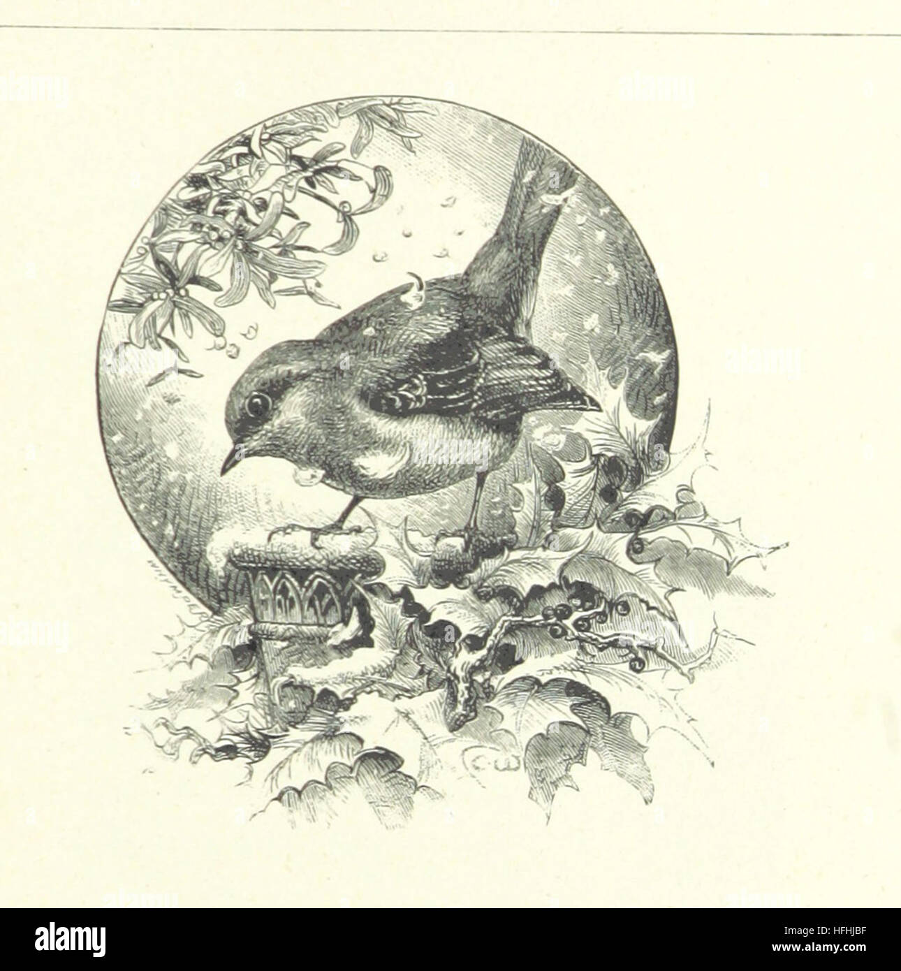 A collection of winter-themed poetry, illustrated by E. Whymper. The ...