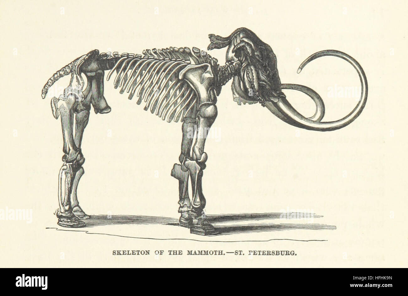 This image from 'Early Man in Europe' explores the prehistoric period ...