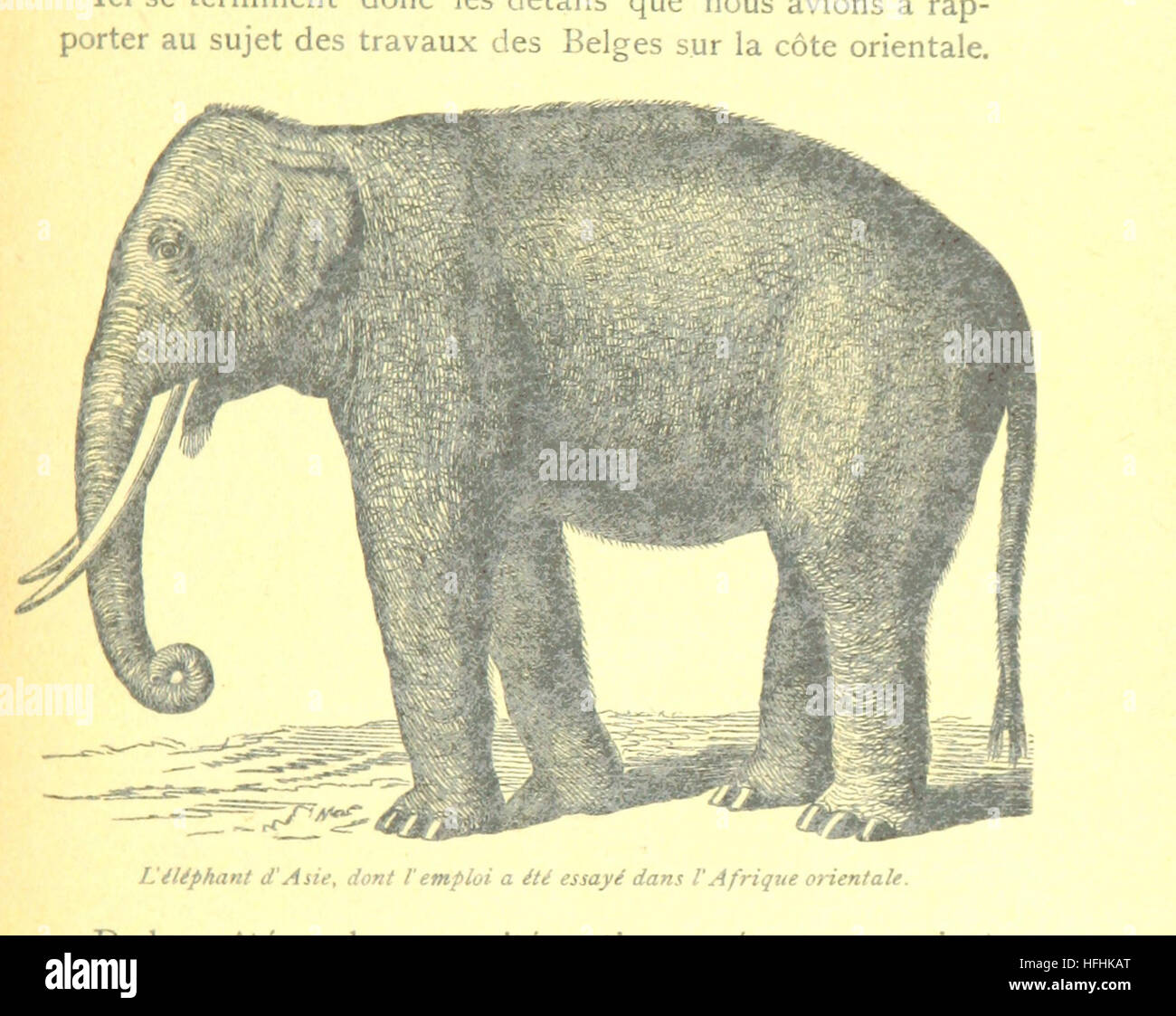 Congo belge map hi-res stock photography and images - Alamy