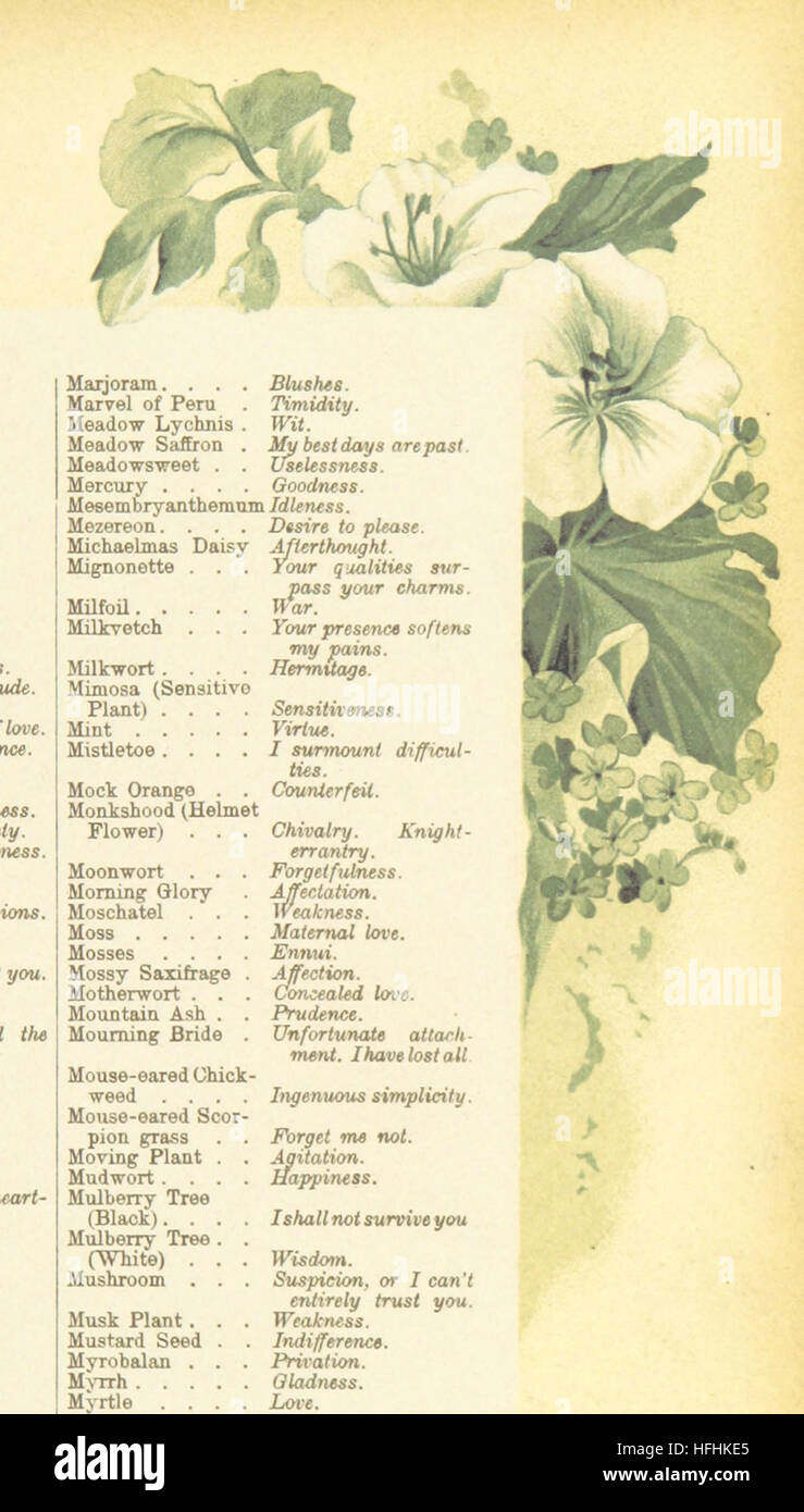 An exploration of the symbolic language of flowers, showcasing their ...
