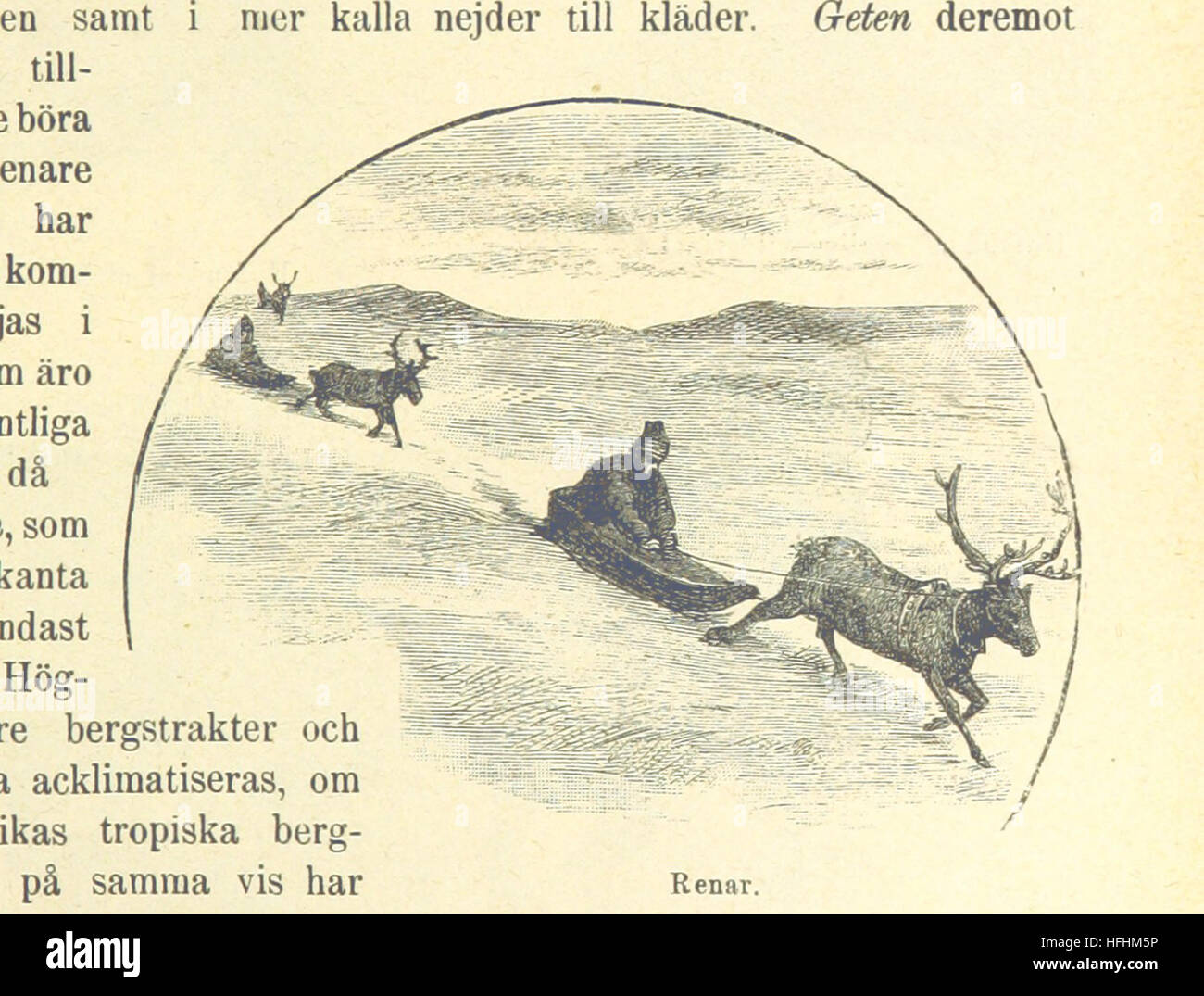 Swedish edition of 'Menniskan,' a book about human nature and society ...