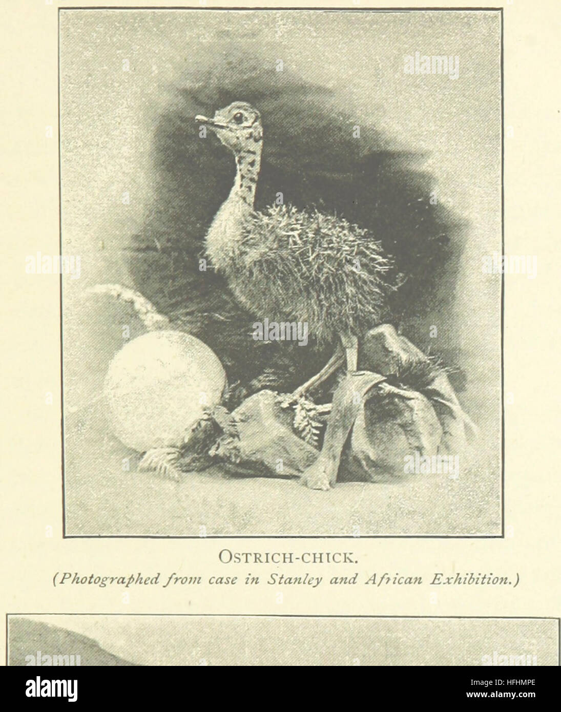 Second life home page hi-res stock photography and images - Alamy