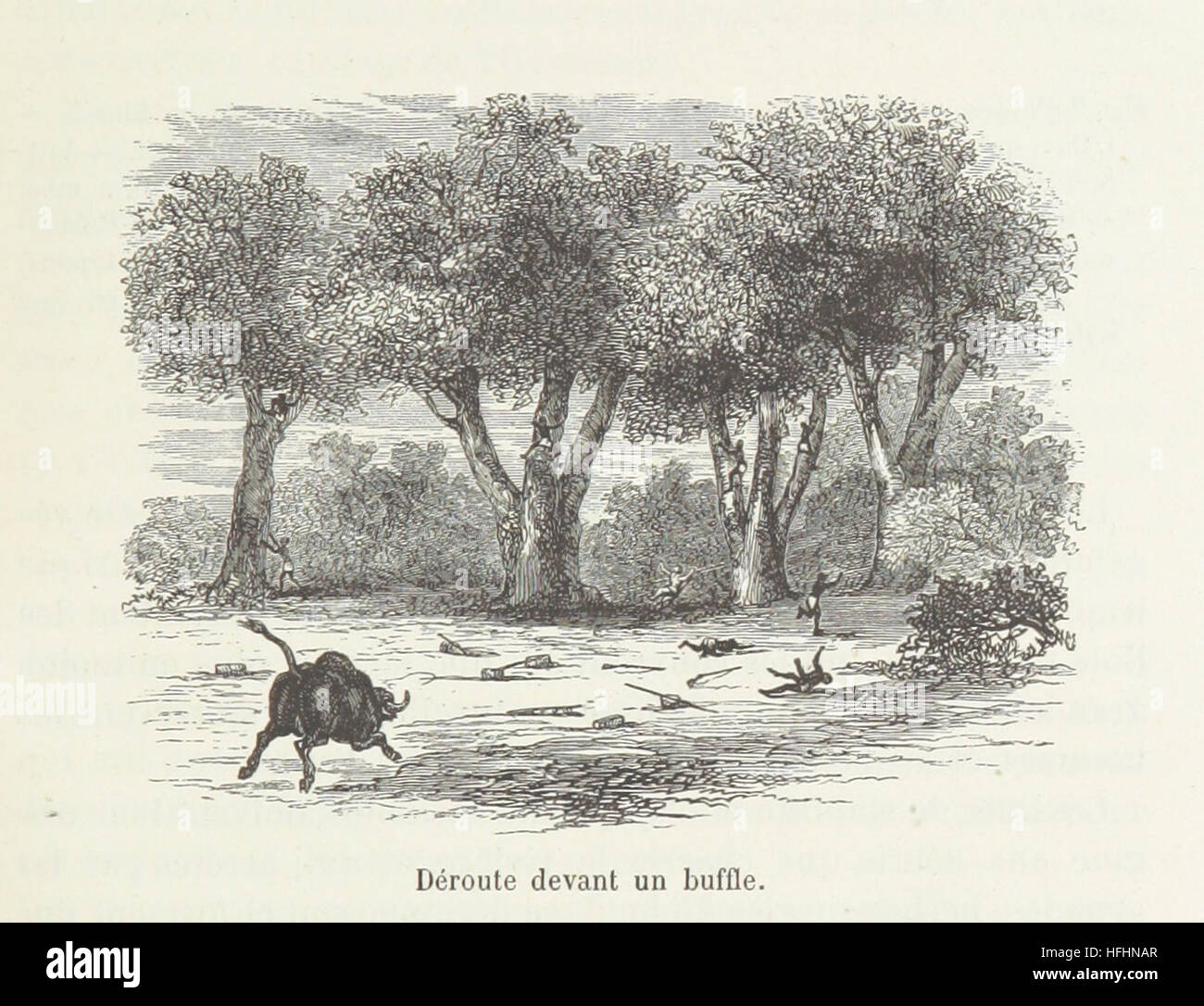 A travel narrative detailing a journey through Africa from Zanzibar to ...
