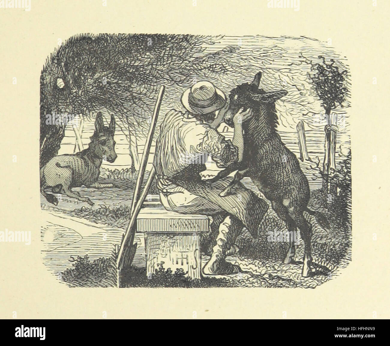 A collection of fables and imaginative stories set in woodland settings ...