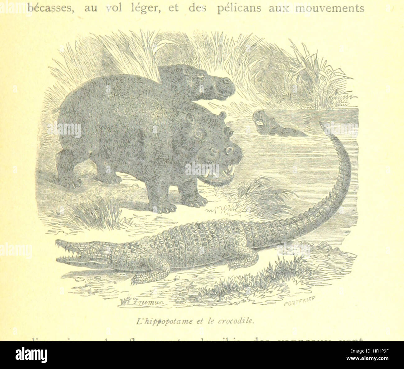 Congo belge map hi-res stock photography and images - Alamy