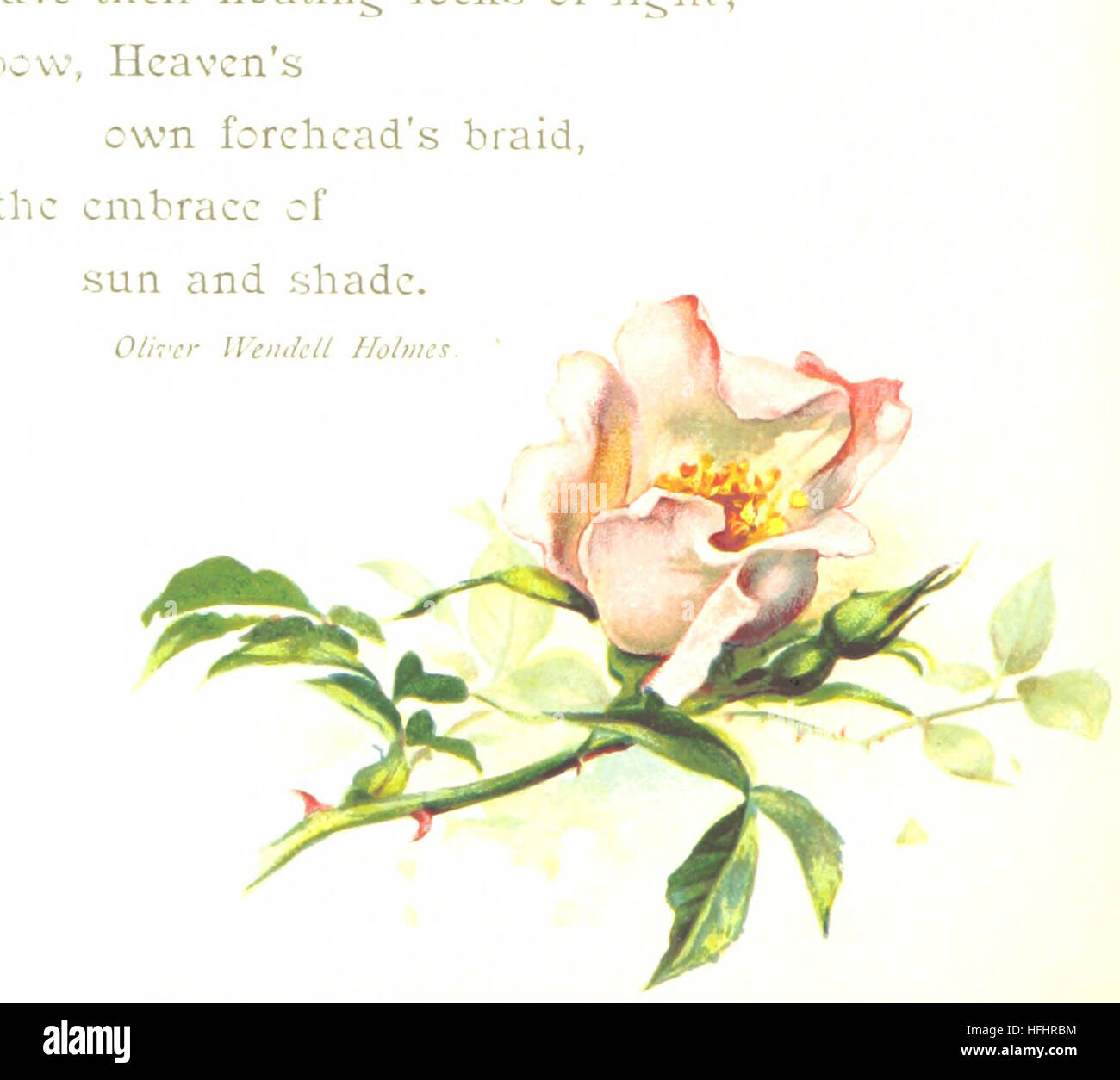 Image taken from page 18 of 'Rose Leaves. [A collection of poems on ...