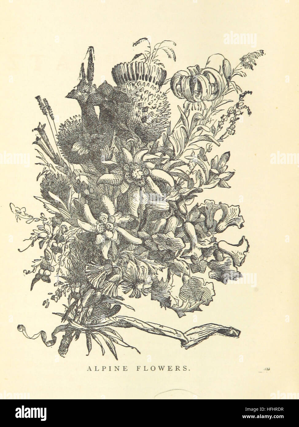 The “J. E. M.” Guide to Davos-Platz. Edited by J. E. Muddock ... With ...