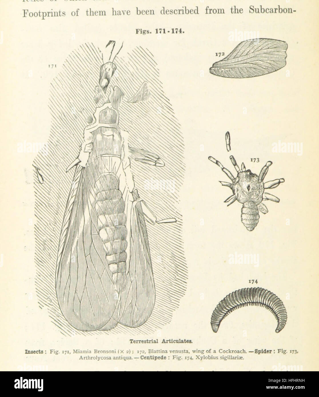 The page provides an illustrated introduction to geology, covering rock ...