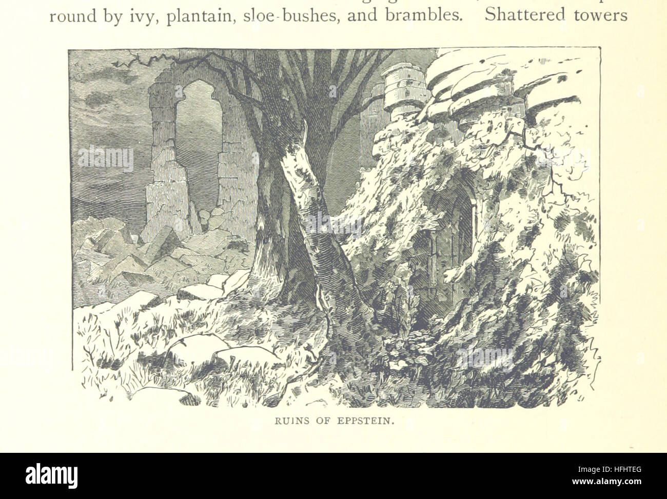 Image from 'The Rhine, from its source to the sea' detailing the Rhine ...