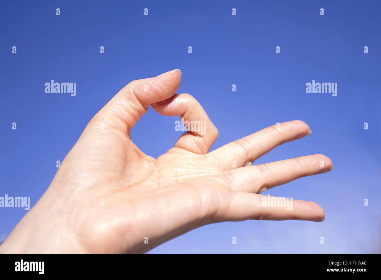 White woman hand gesturing on blue background Stock Photo - Alamy