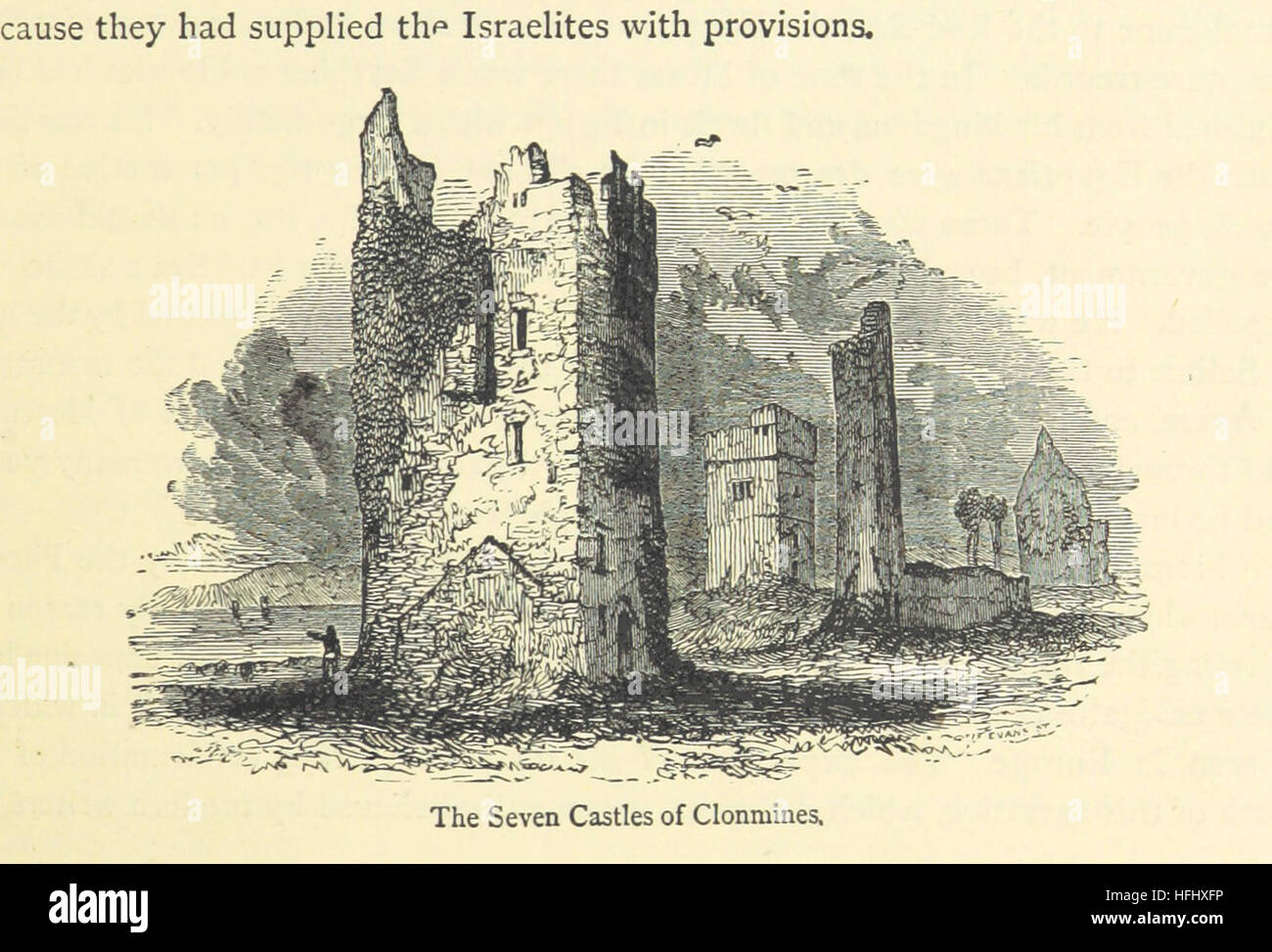 This history covers the evolution of Ireland from its early history to ...